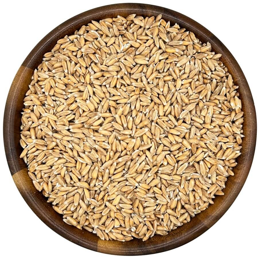 Organic Hulled Wheat | Origin USA | Buy at Organic in Bulk