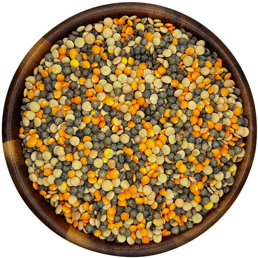 Organic Lentils Mix | Trio Lentils Blend | Organic in Bulk